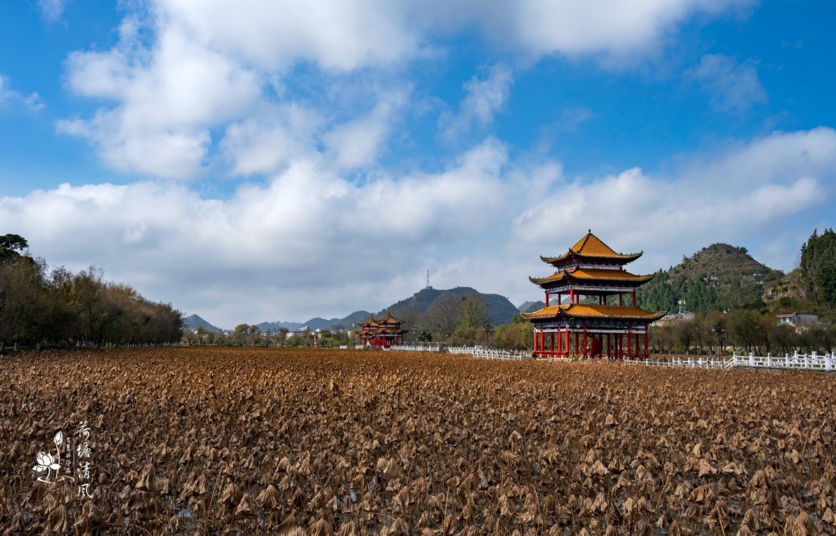 家乡风景之：“冬日招堤”。-中关村在线摄影论坛