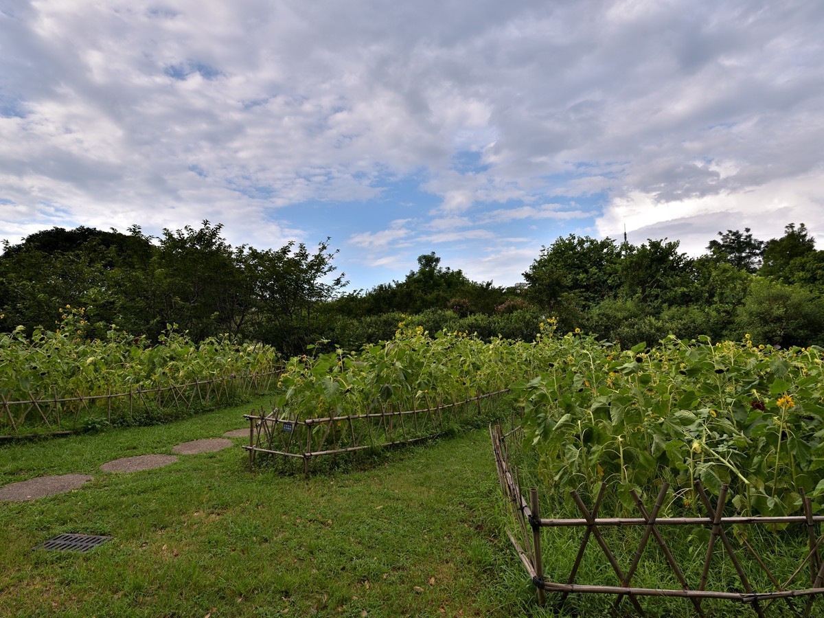 桂林南溪山公园3-中关村在线摄影论坛