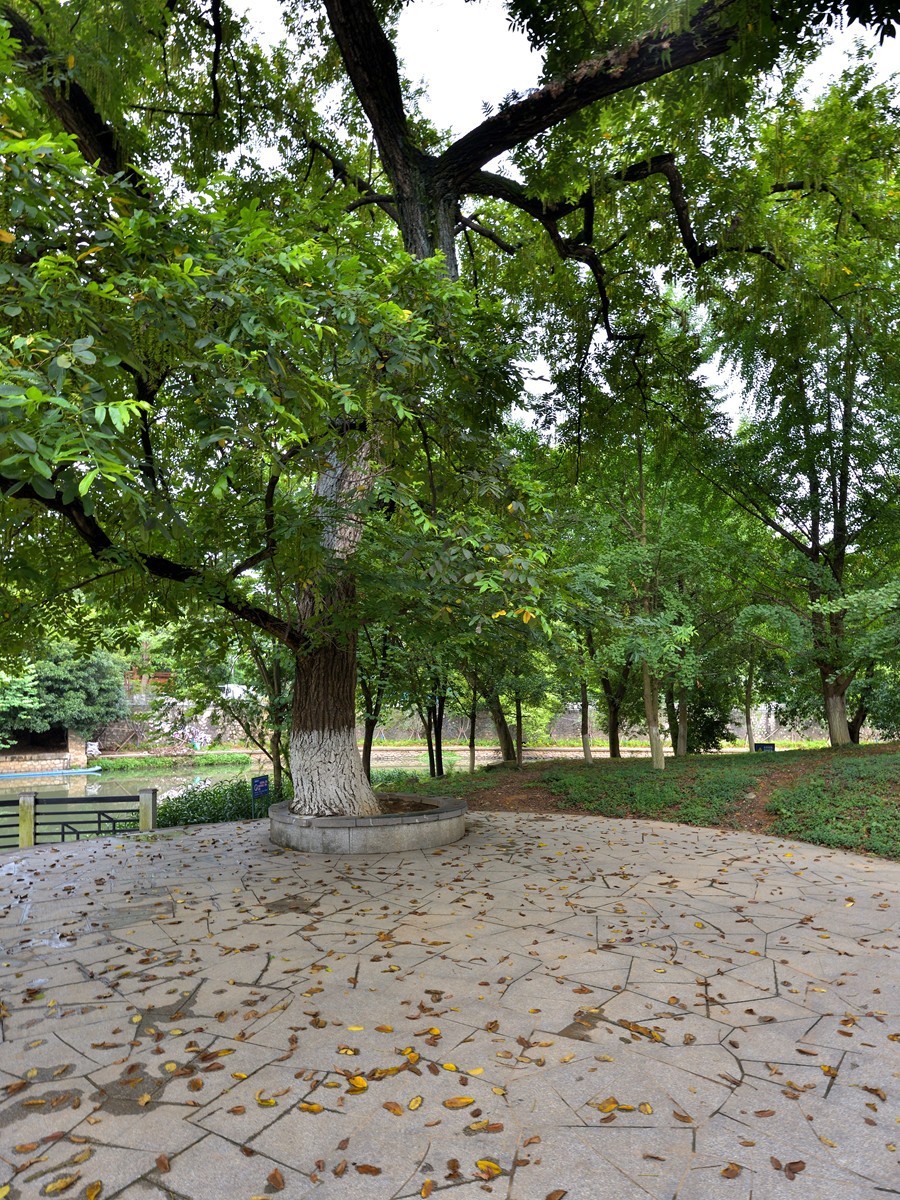 桂林南溪山公园3-中关村在线摄影论坛