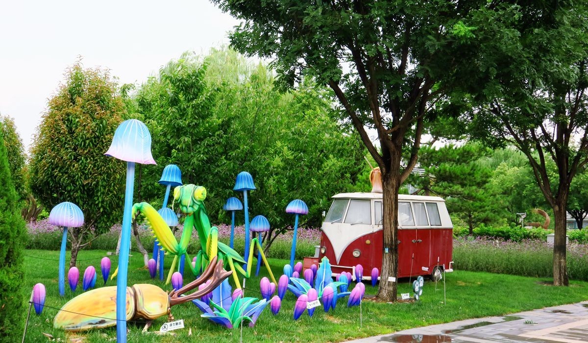 中伏第一天【上】-中关村在线摄影论坛