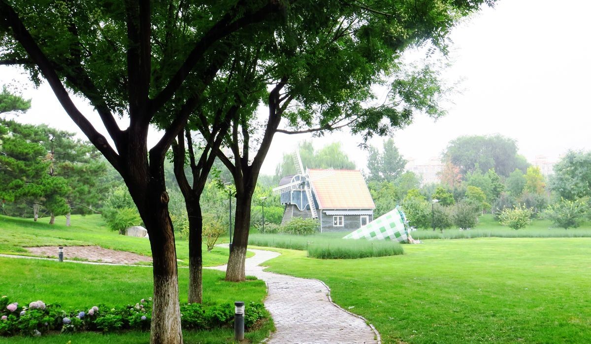 中伏第一天【上】-中关村在线摄影论坛