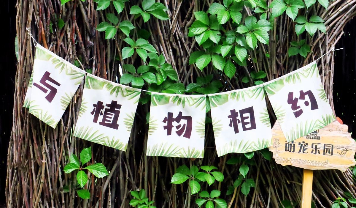 中伏第一天【上】-中关村在线摄影论坛