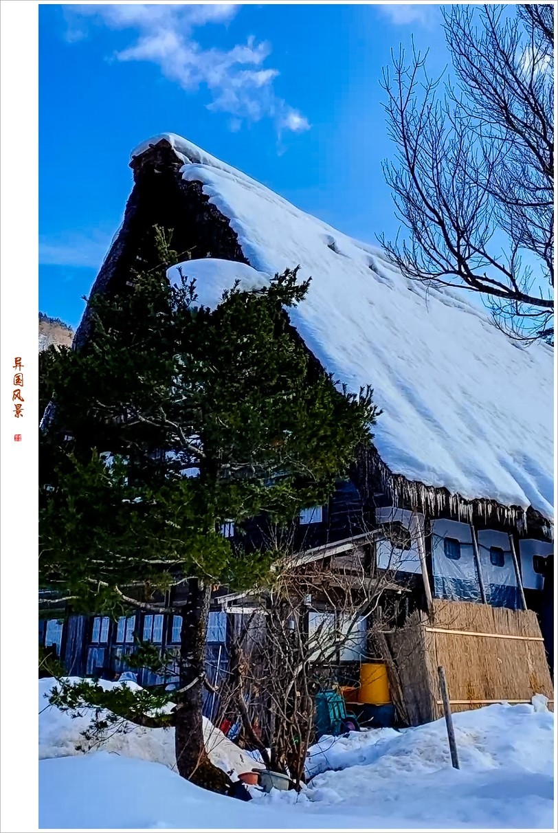 2023年第0174贴-异国风景抓拍集锦（0318F）-中关村在线摄影论坛