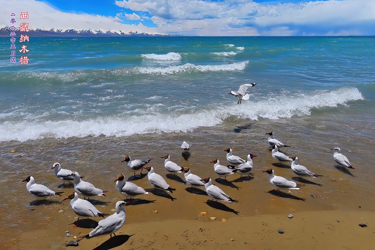 纳木错 (2)-中关村在线摄影论坛