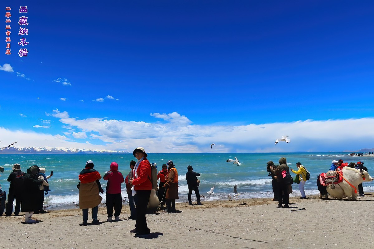 纳木错 (2)-中关村在线摄影论坛