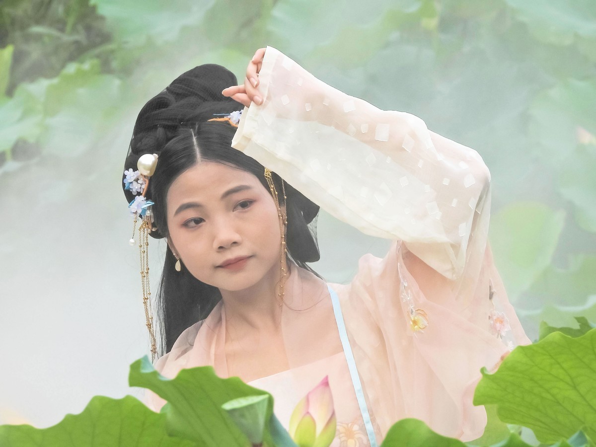 仙境荷田来花仙-中关村在线摄影论坛