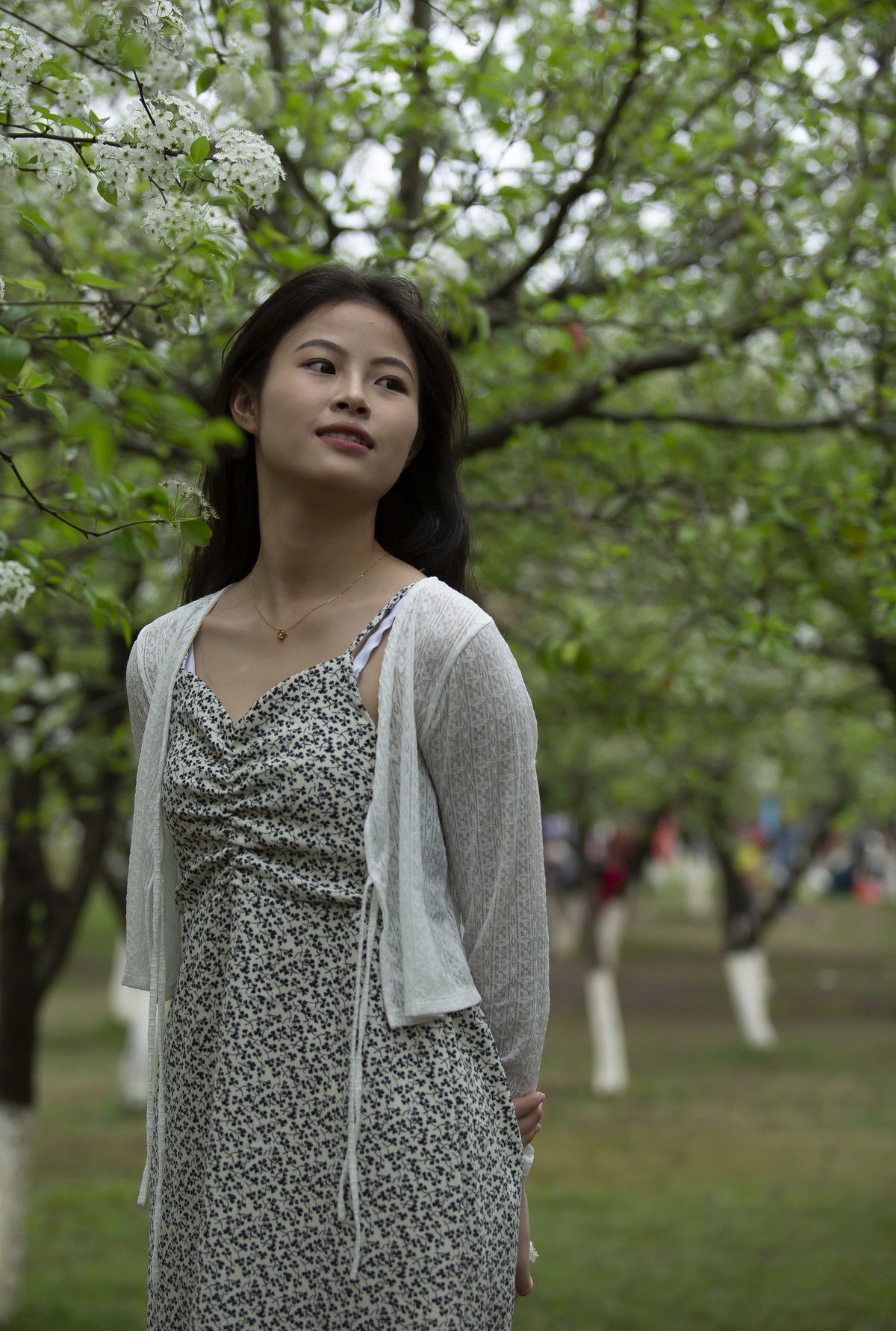 养眼美女-中关村在线摄影论坛