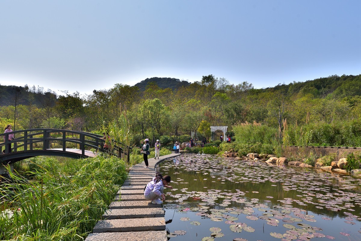 青秀山春景5-中关村在线摄影论坛