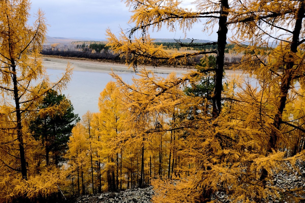神州湾秋色-中关村在线摄影论坛