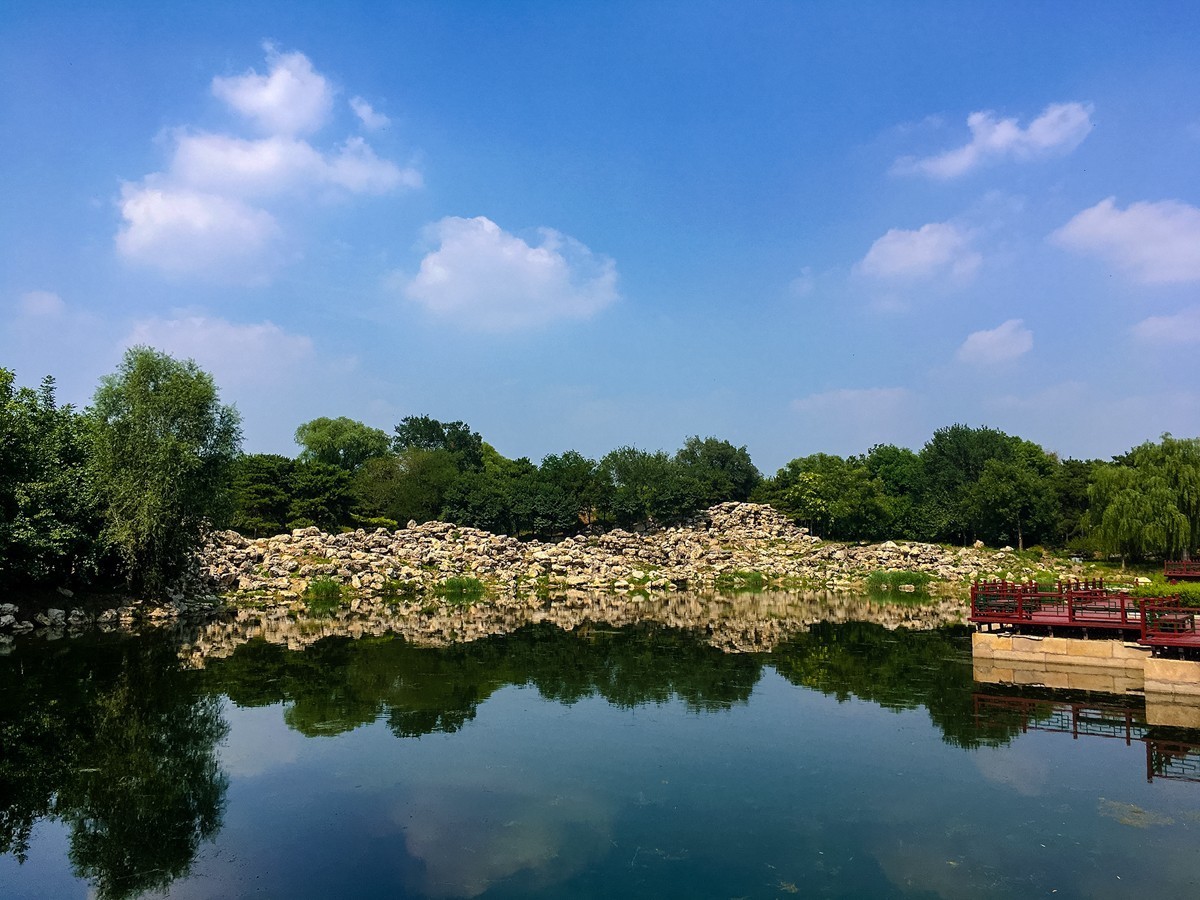 2023年-圆明园随拍-405-中关村在线摄影论坛