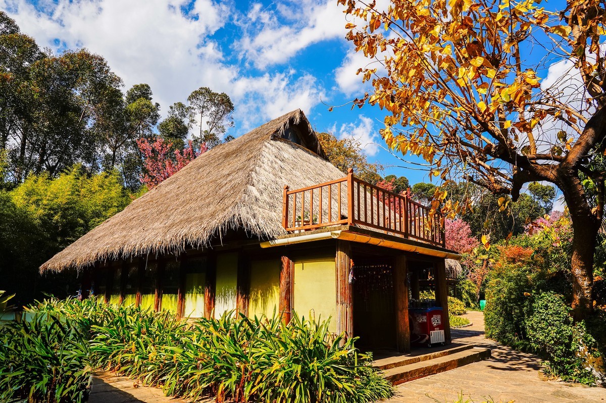 游拍云南民族村（结束篇）-中关村在线摄影论坛