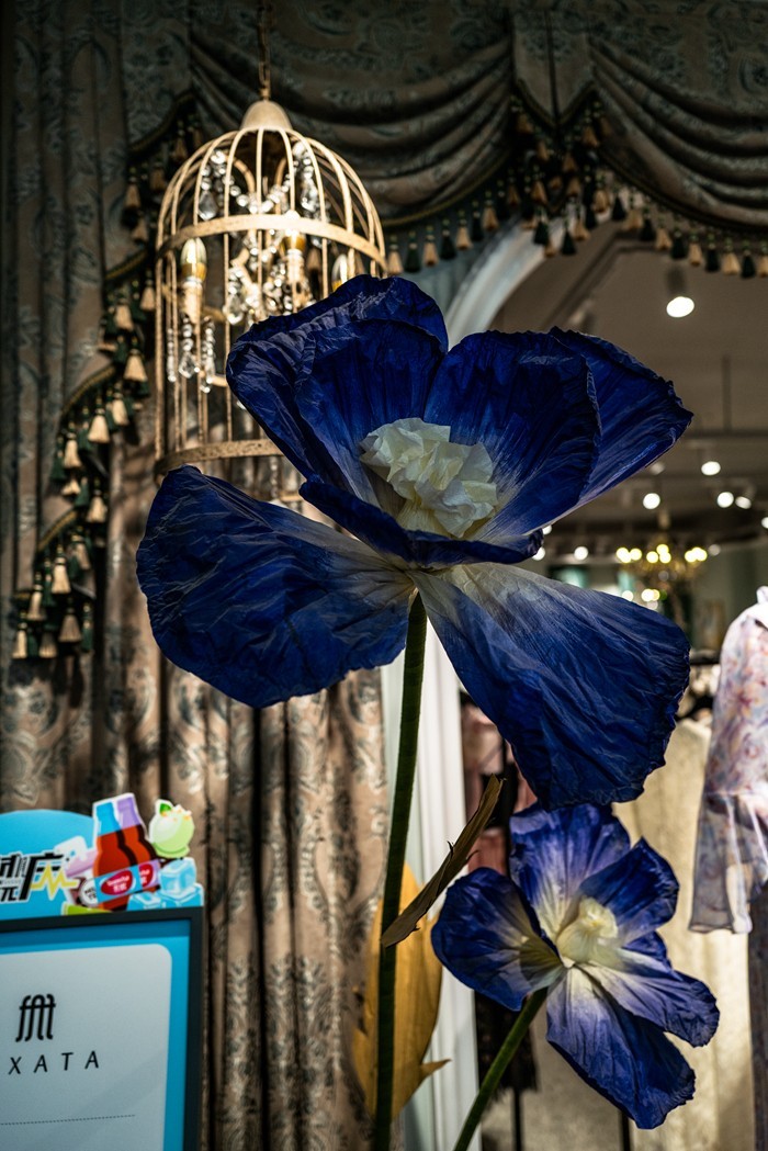 Lecoa Q2 ( 逛商场 )-中关村在线摄影论坛