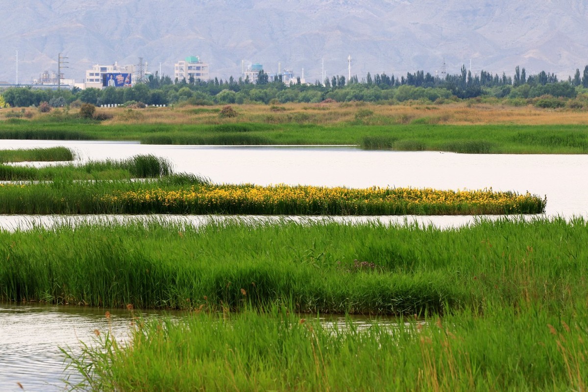 7D2加大白组合还是很不错的！-中关村在线摄影论坛