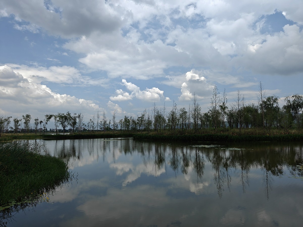 随拍一170-中关村在线摄影论坛