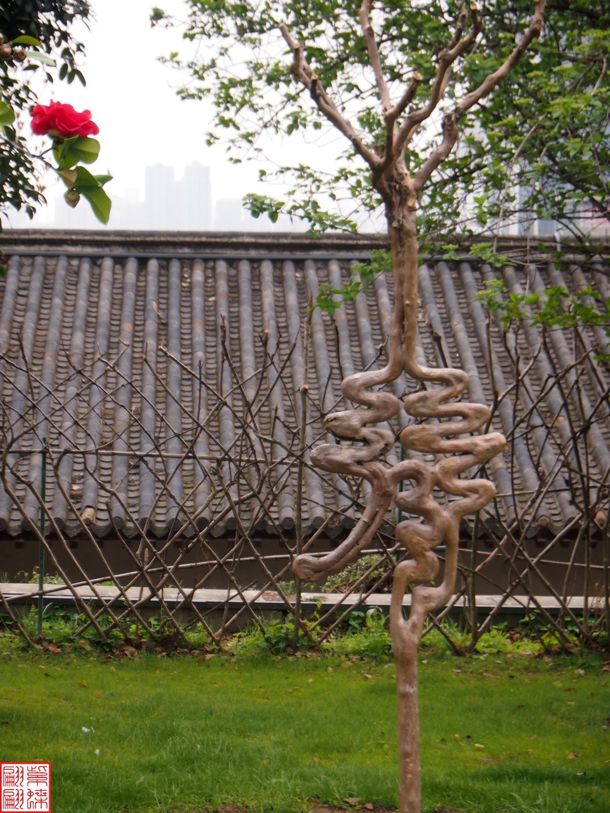 【高清图】黄鹤楼打卡（2）-中关村在线摄影论坛