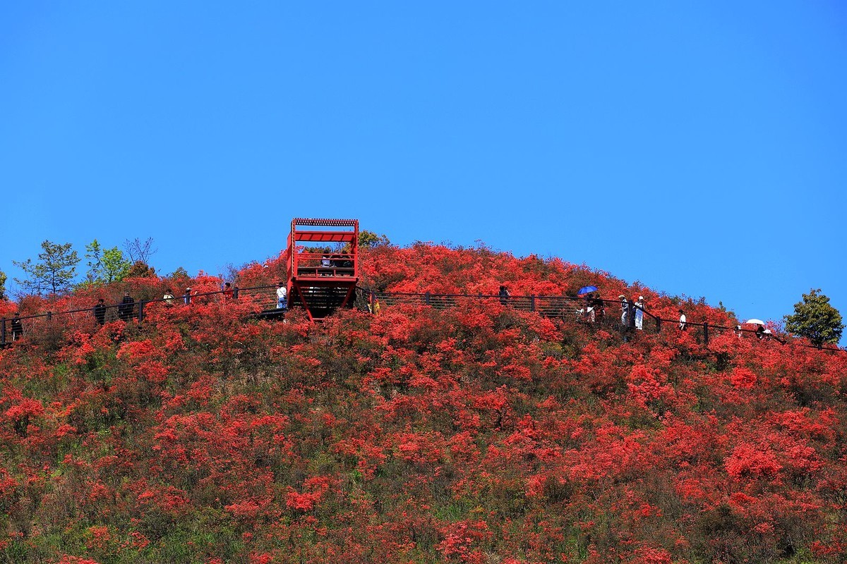 马屿圣井山-中关村在线摄影论坛