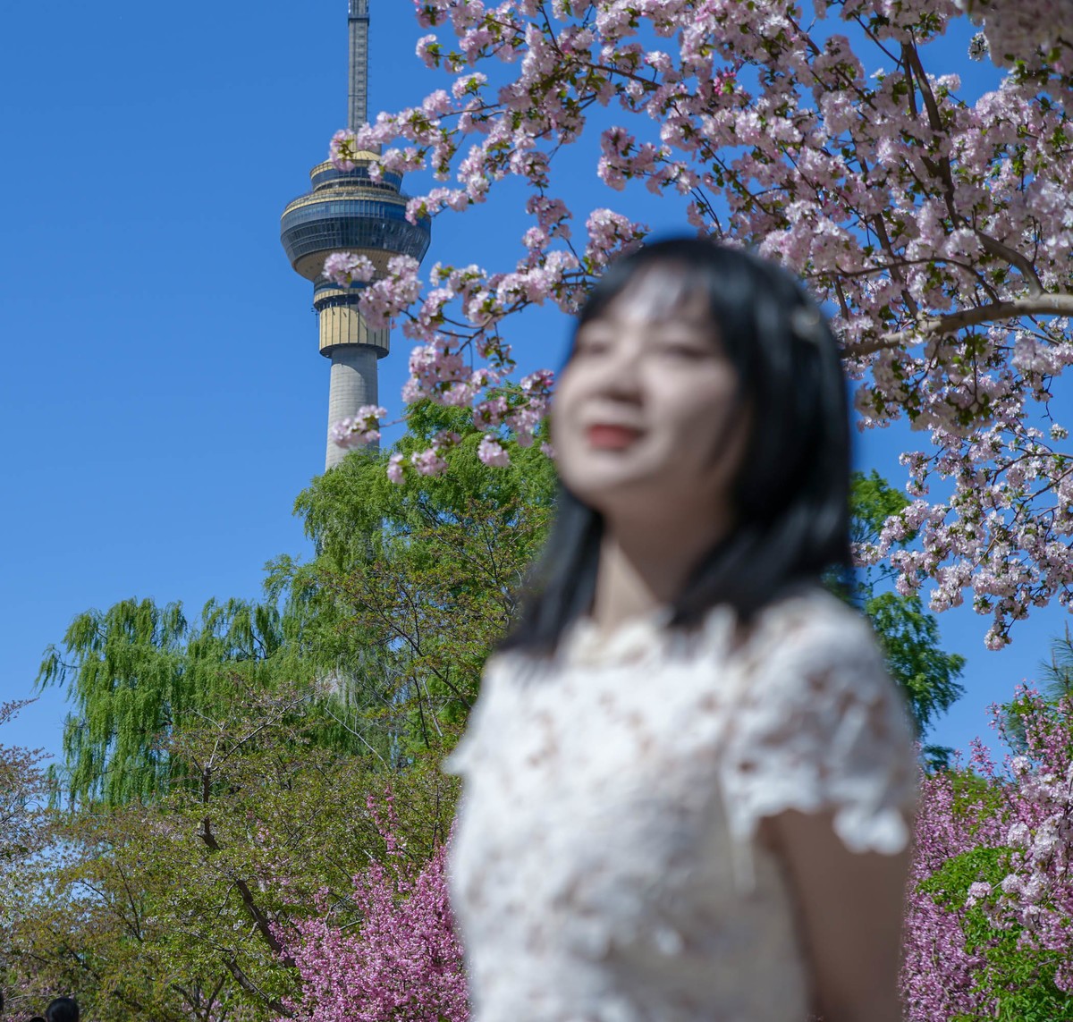 春游玉渊潭20230407 《76》-中关村在线摄影论坛