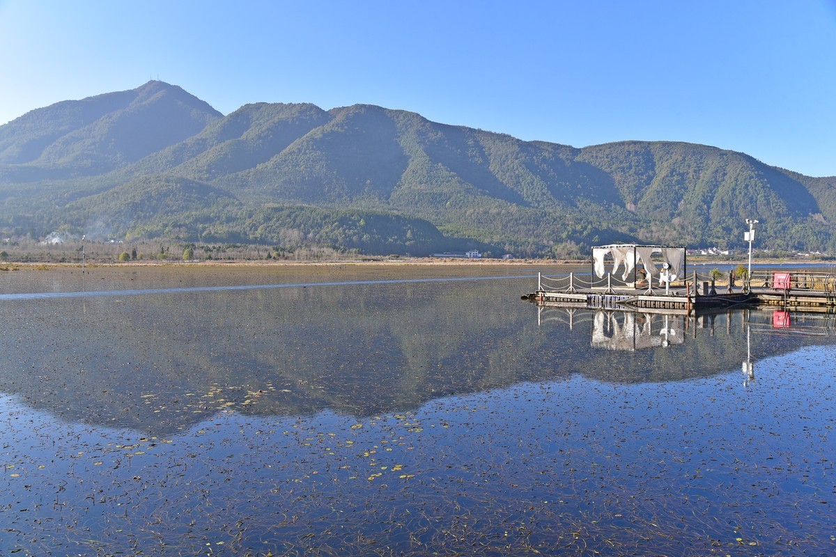 北海湿地 1-1-中关村在线摄影论坛