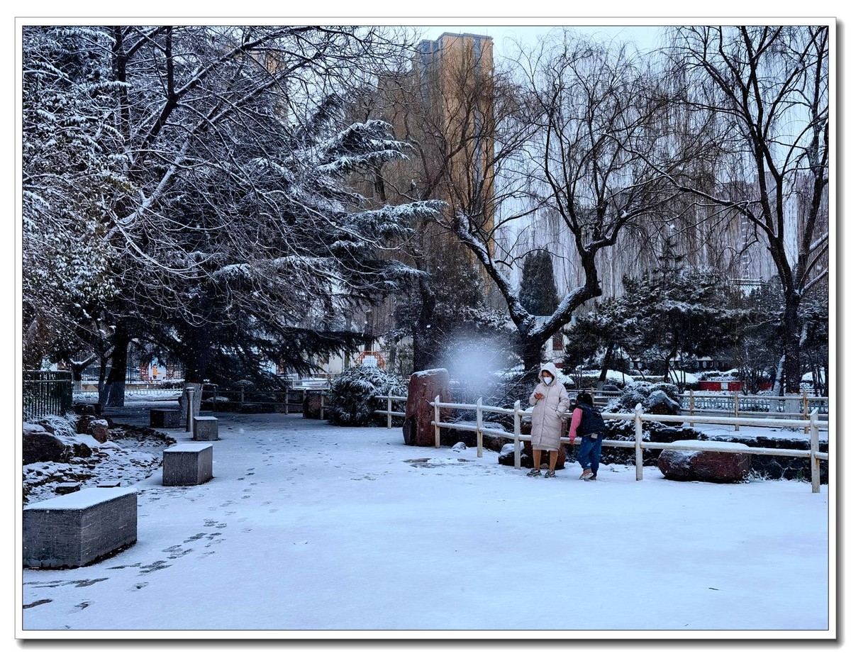 下雪了 18【2023-0152】-中关村在线摄影论坛