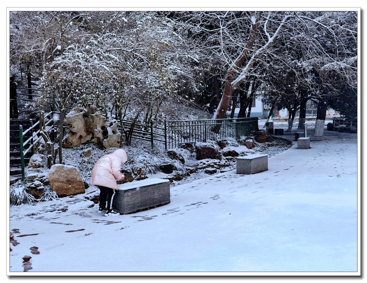 下雪了 18【2023-0152】-中关村在线摄影论坛