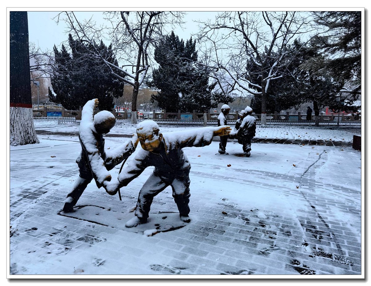 下雪了 18【2023-0152】-中关村在线摄影论坛