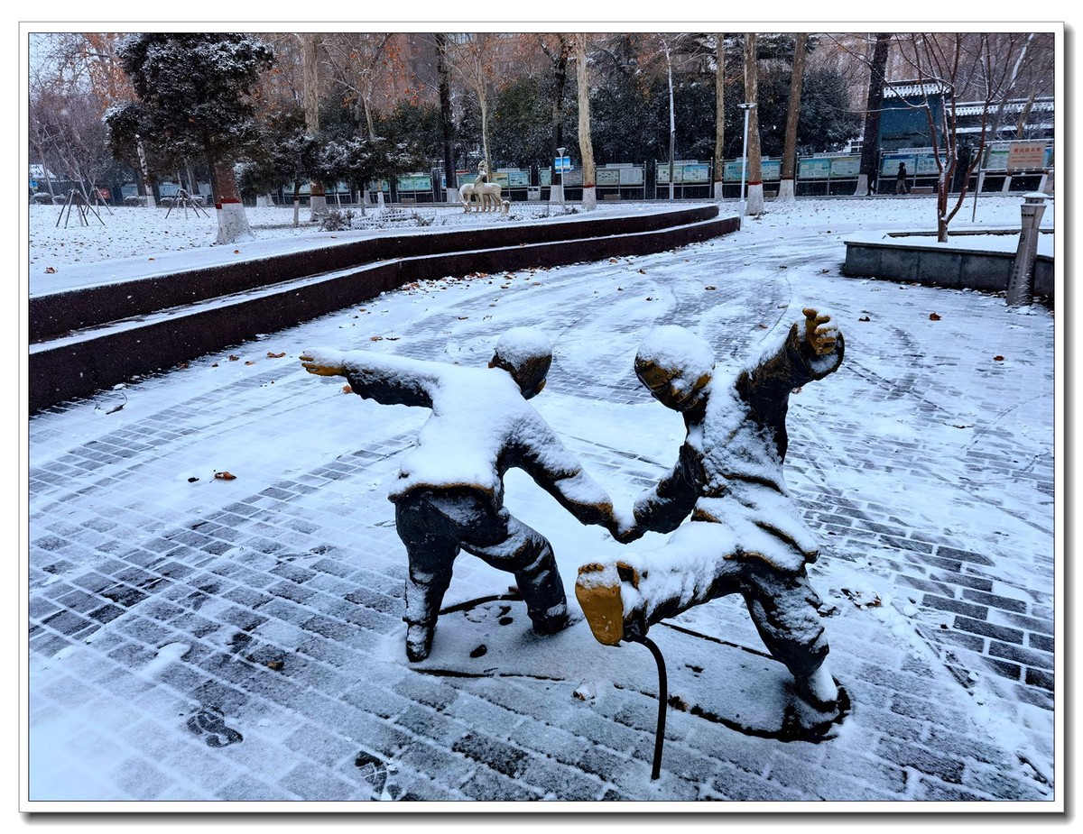 下雪了 18【2023-0152】-中关村在线摄影论坛