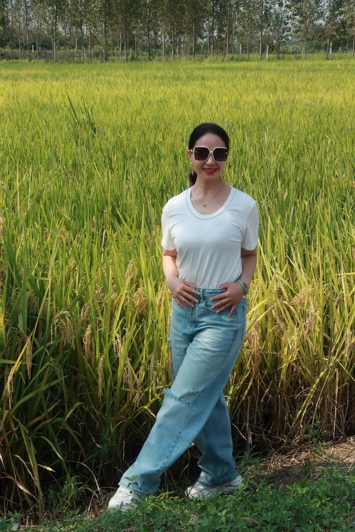 稻子熟了-中关村在线摄影论坛