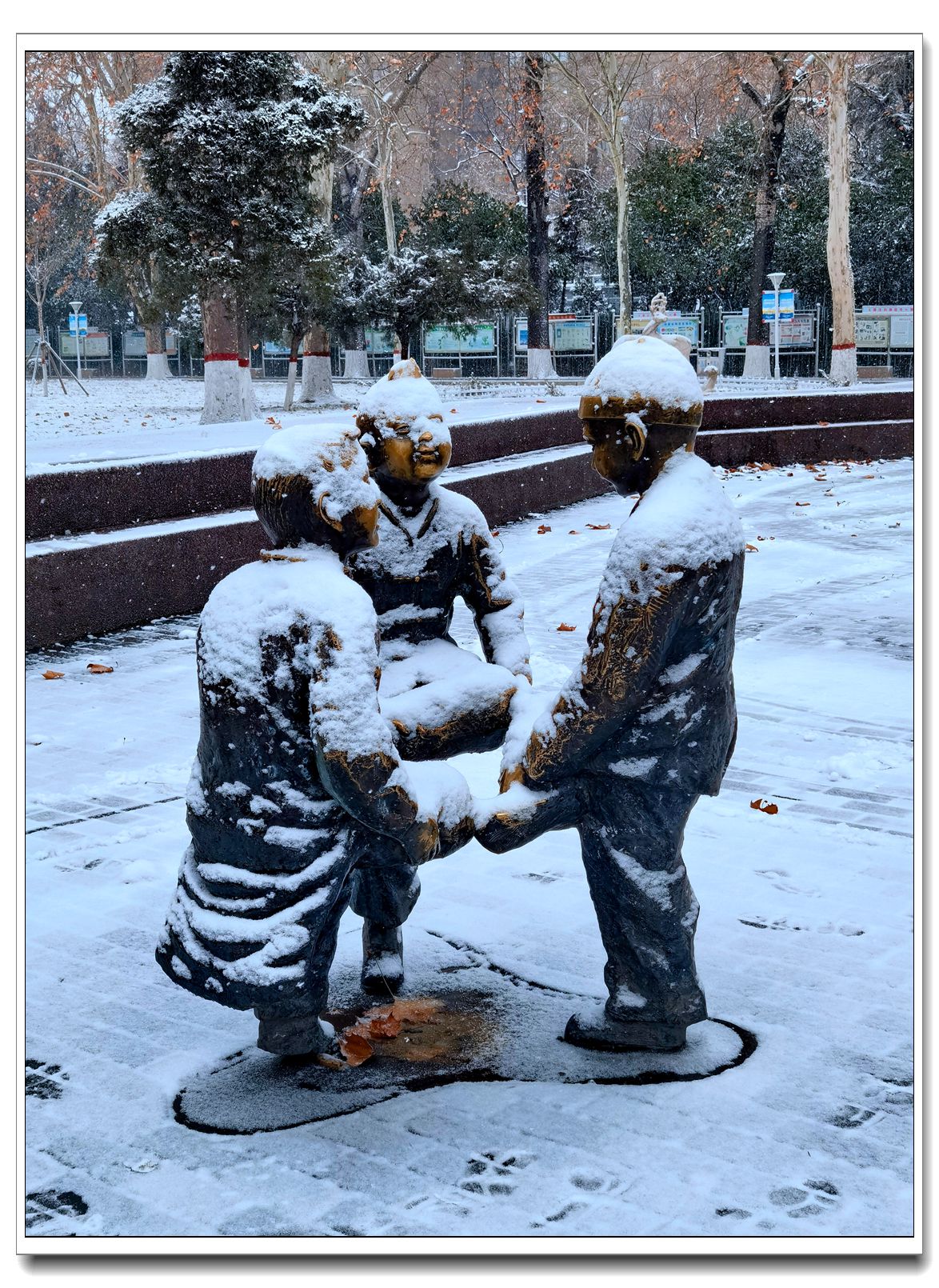 下雪了 16【2023-0150】-中关村在线摄影论坛