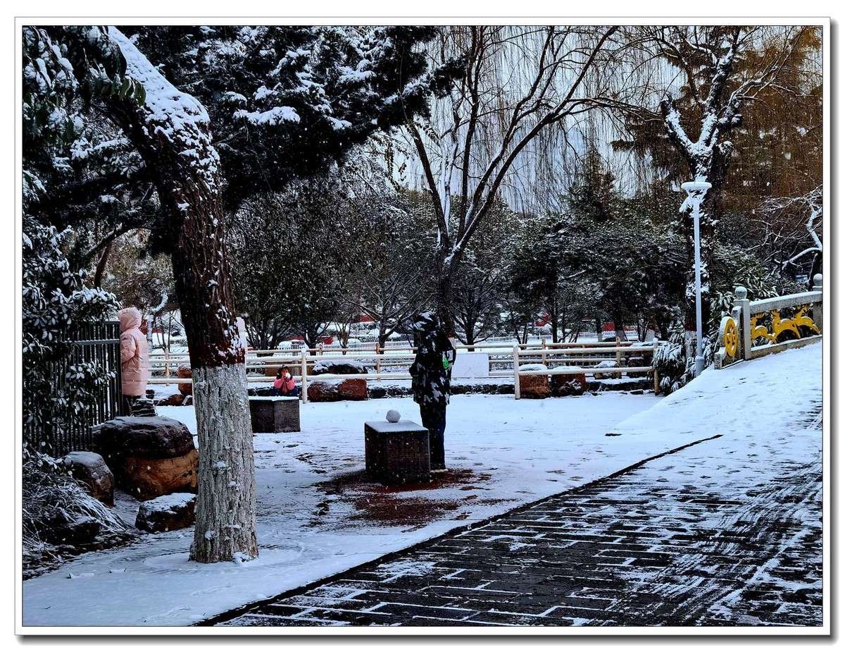 下雪了 18【2023-0152】-中关村在线摄影论坛