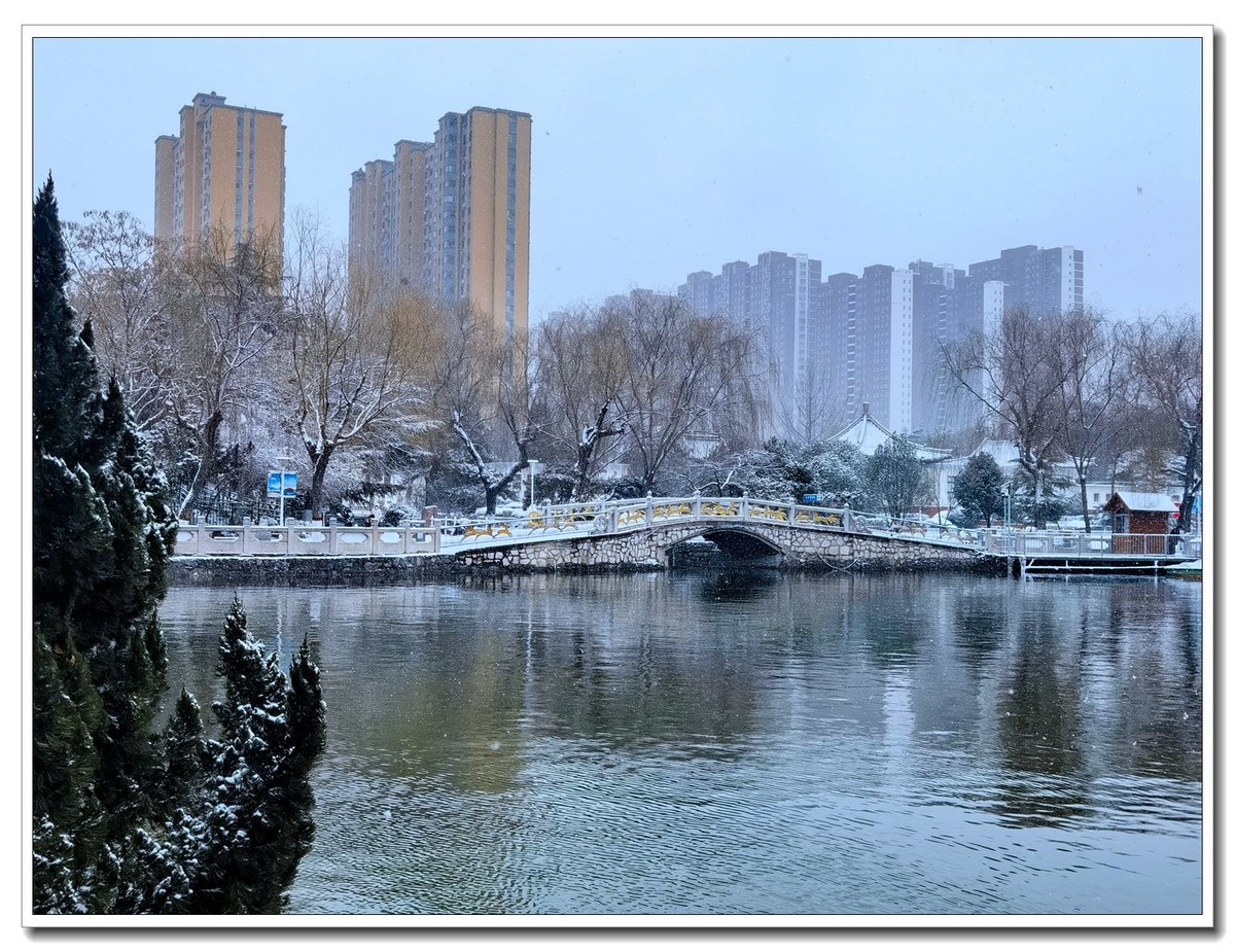 下雪了 18【2023-0152】-中关村在线摄影论坛