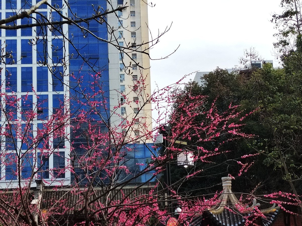 九山公园 (3)-中关村在线摄影论坛