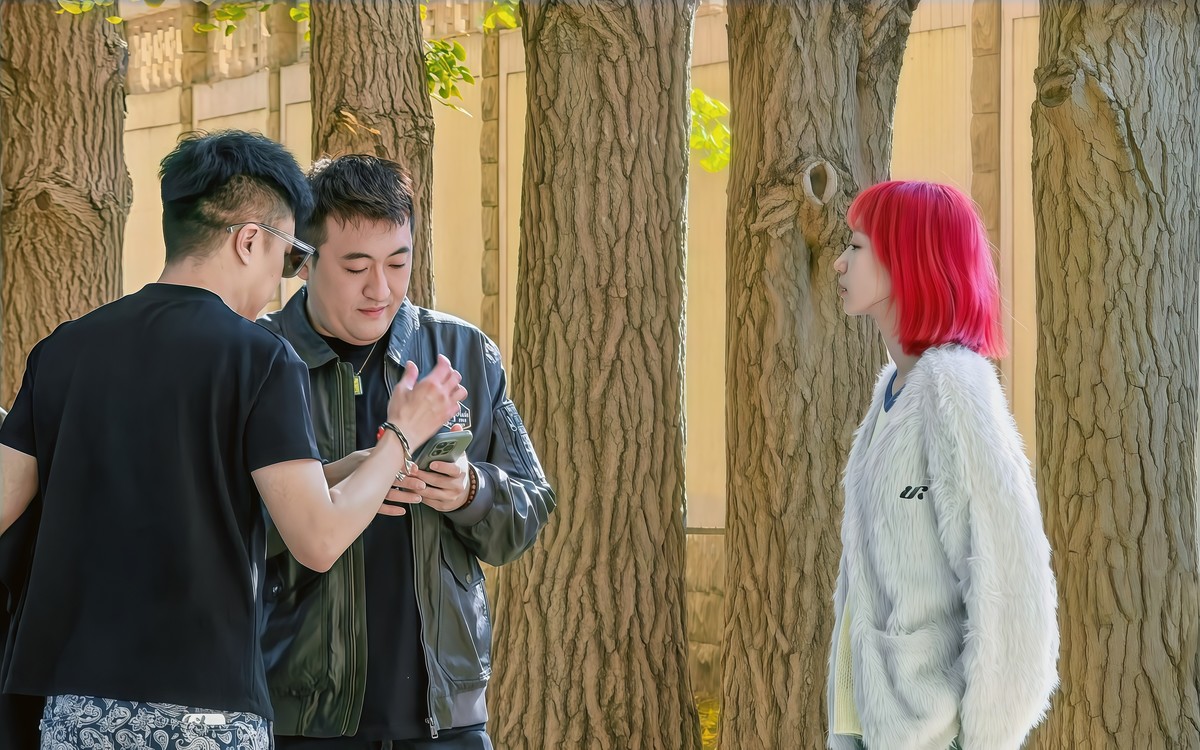 秋日随拍20251102 《3》-中关村在线摄影论坛