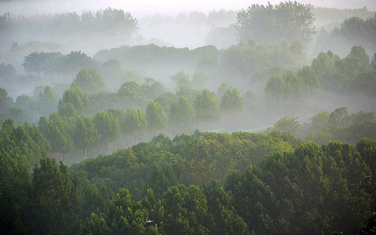 夏雾锁园林-中关村在线摄影论坛