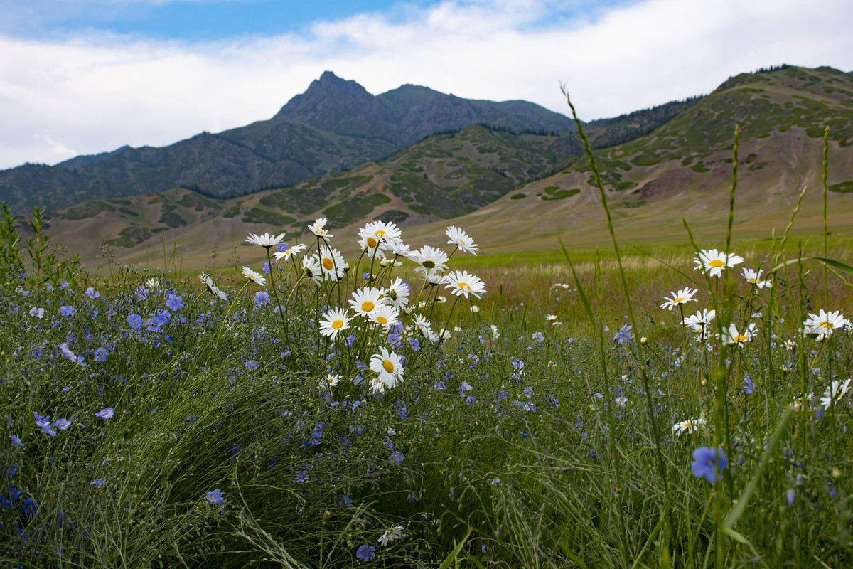 拍照狂魔之西域游记33【20P】-中关村在线摄影论坛