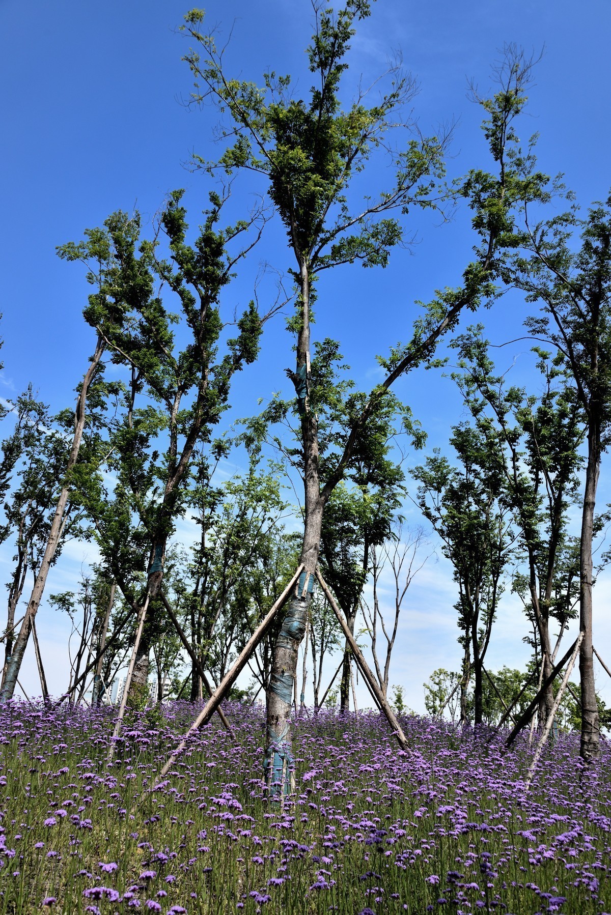 【高清图】郊外随拍【13】-中关村在线摄影论坛