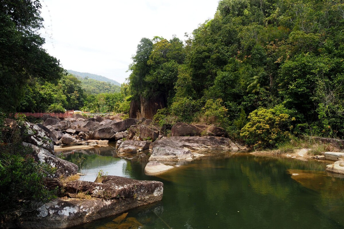 海南尖峰岭——雨林溝谷栈道（2）-中关村在线摄影论坛