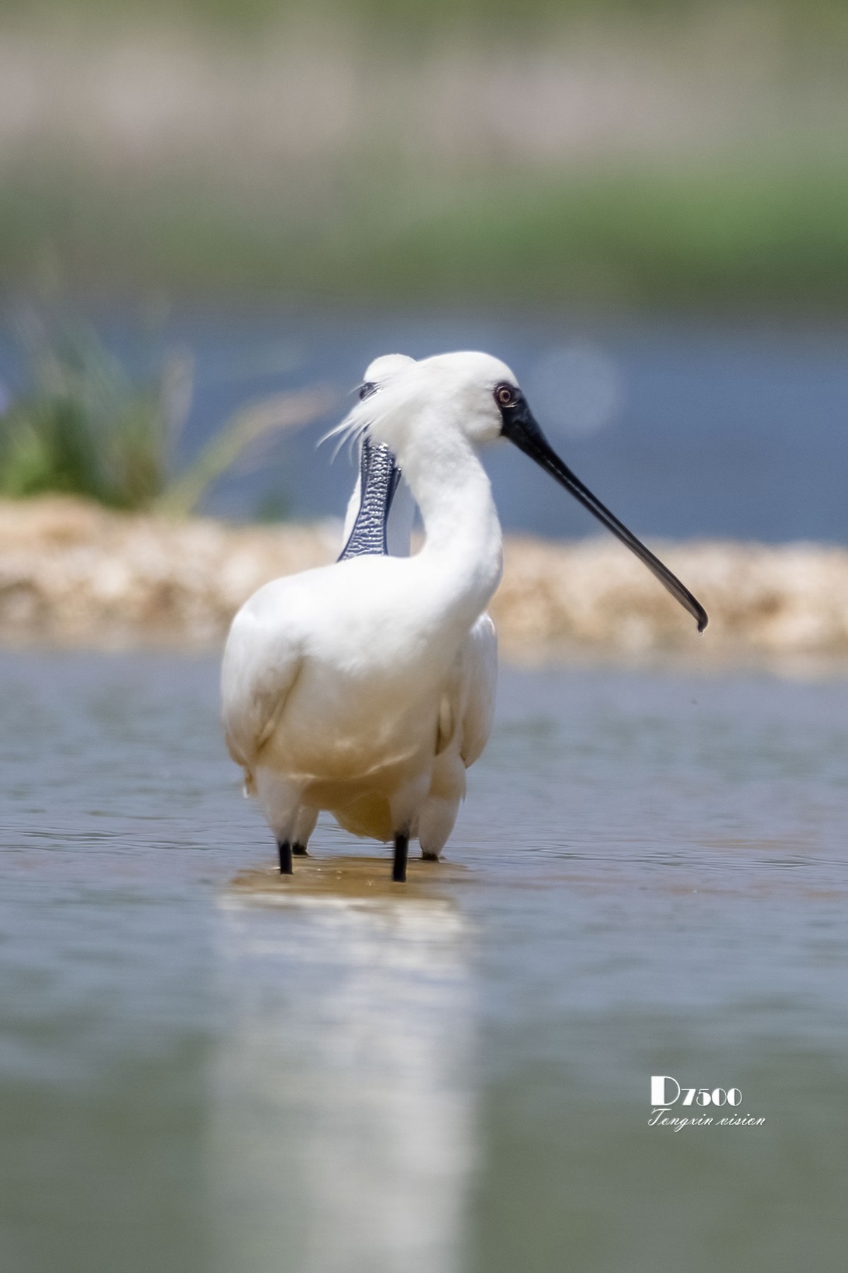 【高清图】庄河鹭泊湖（82）-中关村在线摄影论坛