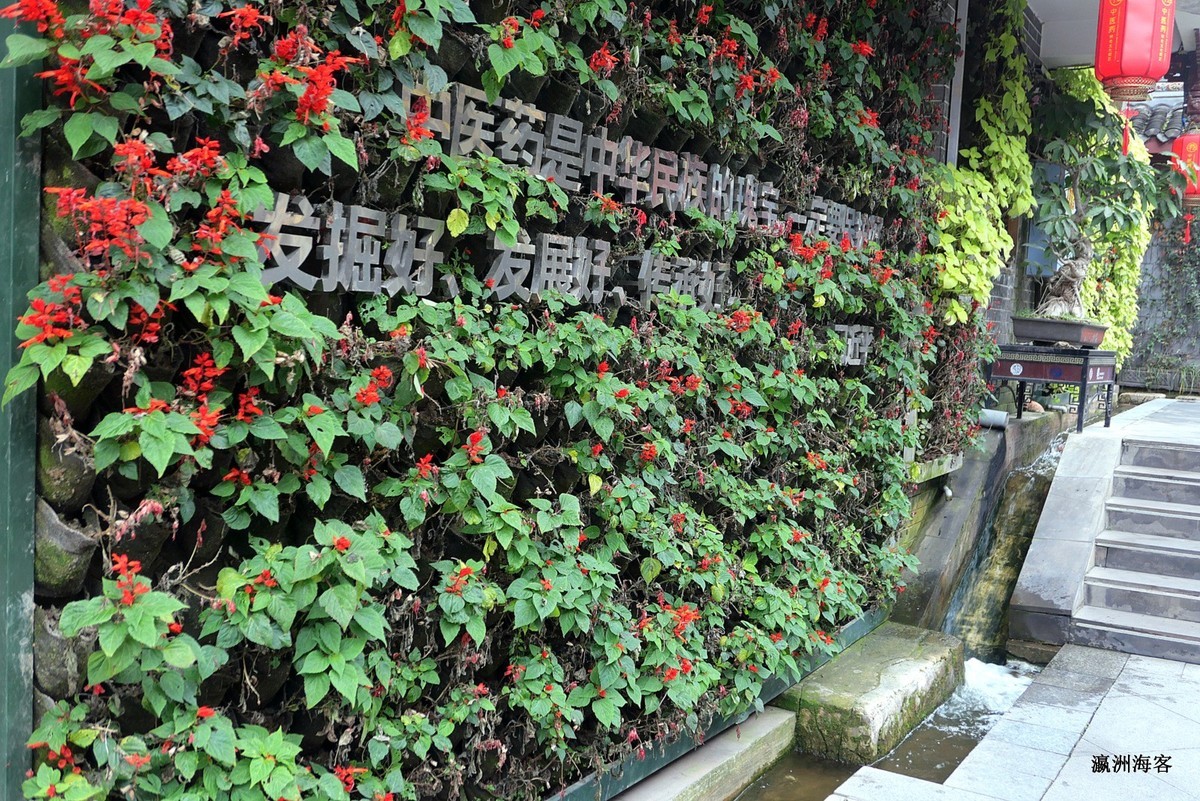 秀湖-中关村在线摄影论坛