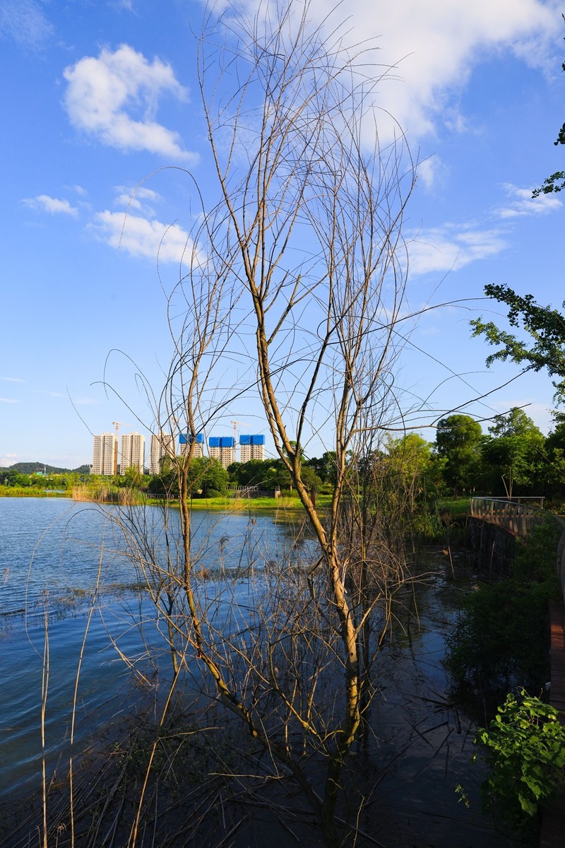 湘潭昭山仰天湖--4-中关村在线摄影论坛