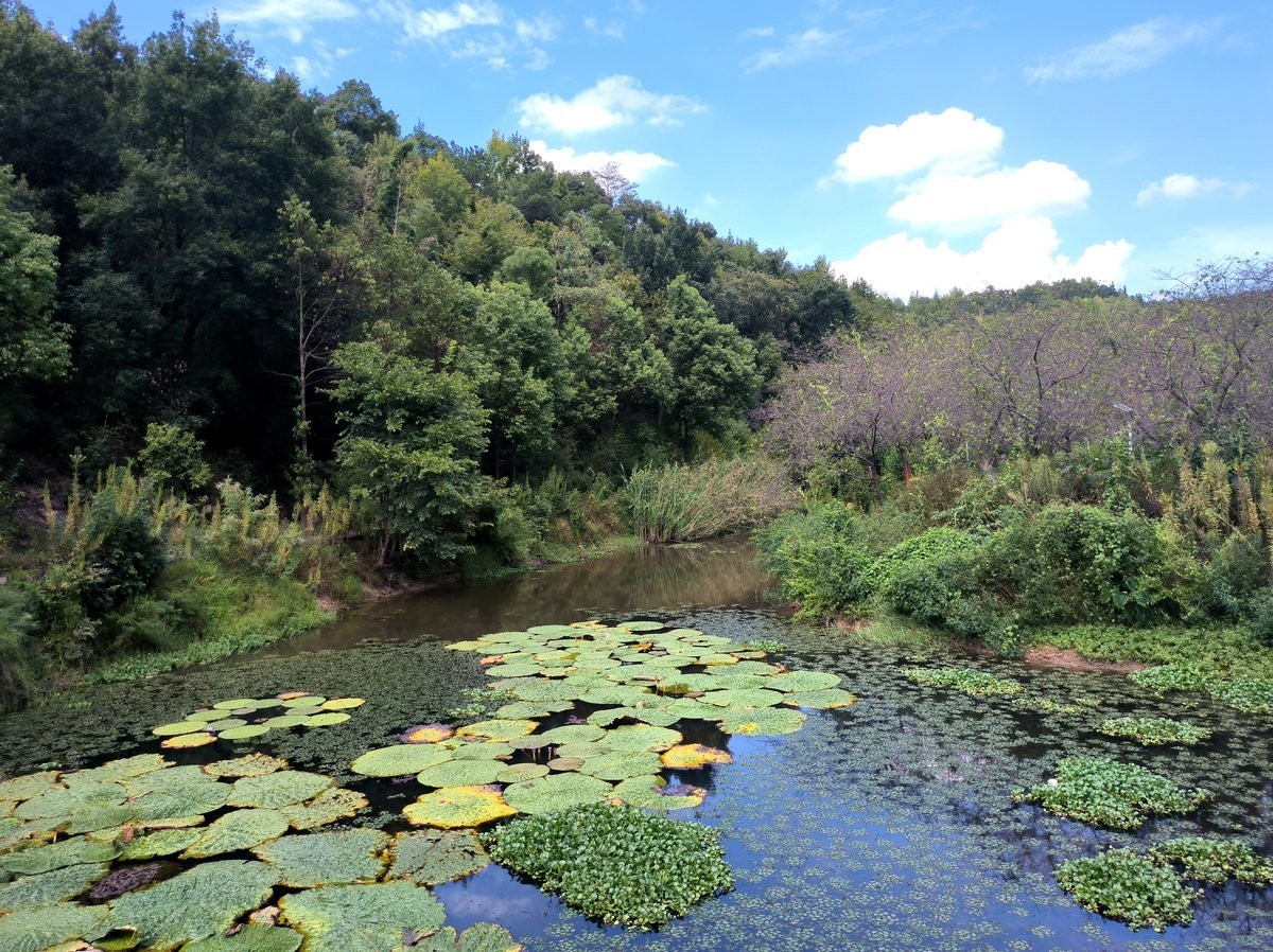 漫步星城 （904）昭山镇七星村-中关村在线摄影论坛