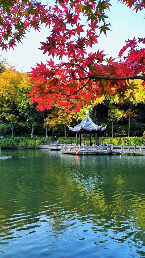 南京栖霞山风光-中关村在线摄影论坛