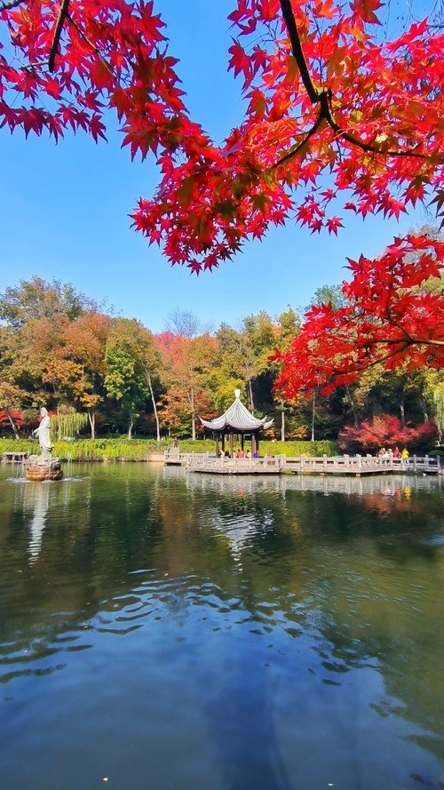 南京栖霞山风光-中关村在线摄影论坛
