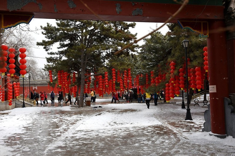 雪映红灯兆丰年-中关村在线摄影论坛
