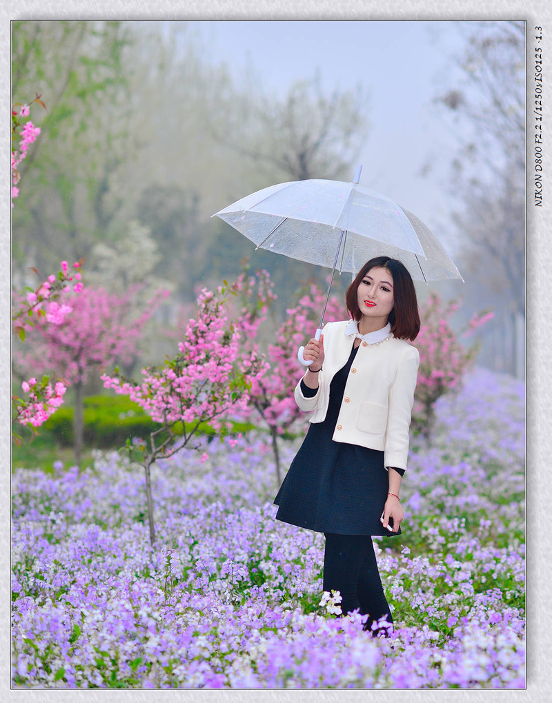 春雨-中关村在线摄影论坛