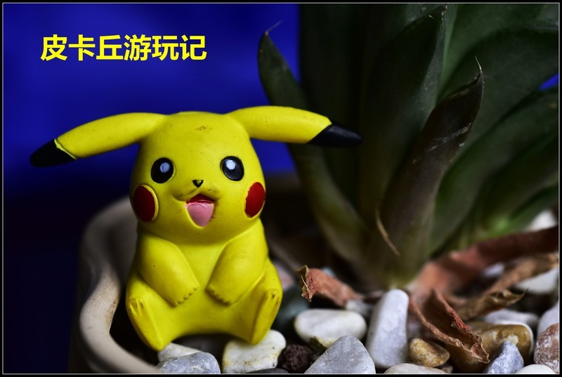 皮卡丘游玩记-中关村在线摄影论坛