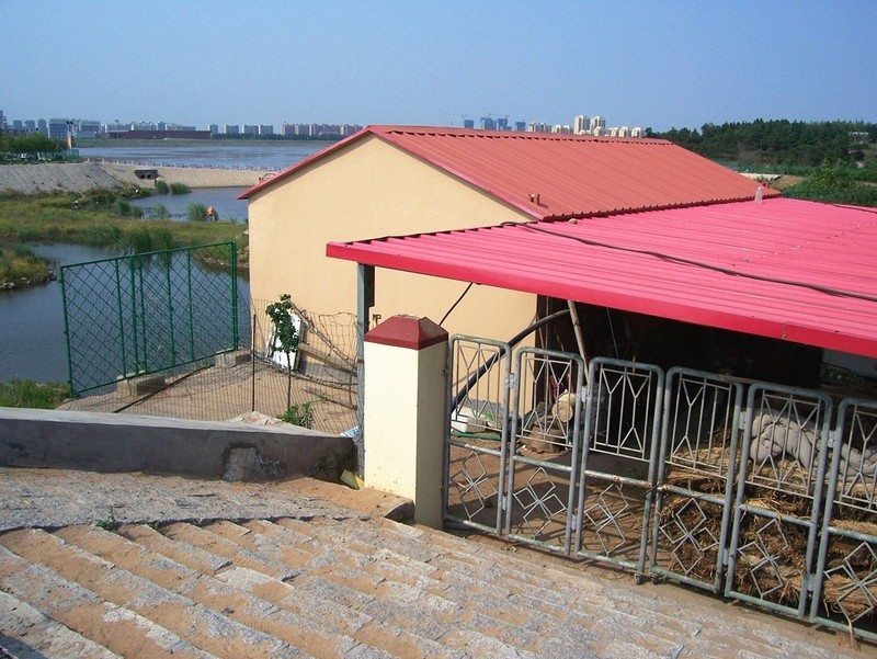 『C663夏日湖边掠影』123...12P-中关村在线摄影论坛