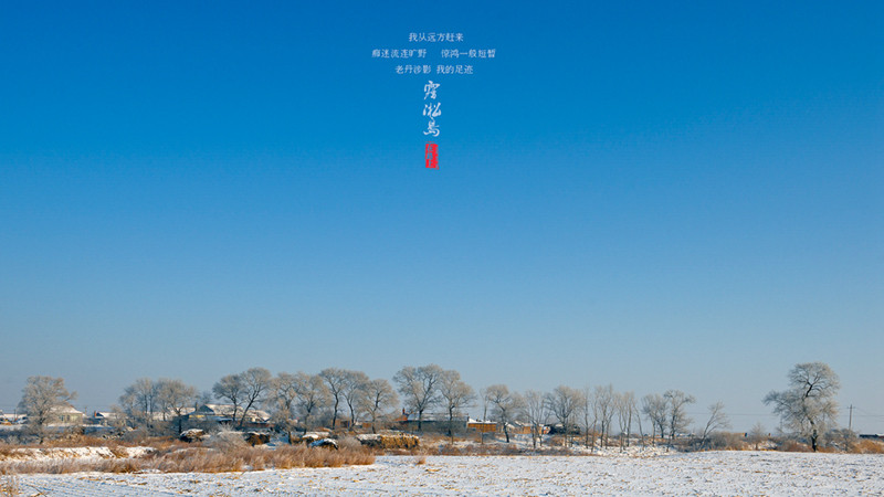 【我从远方赶来】-中关村在线摄影论坛