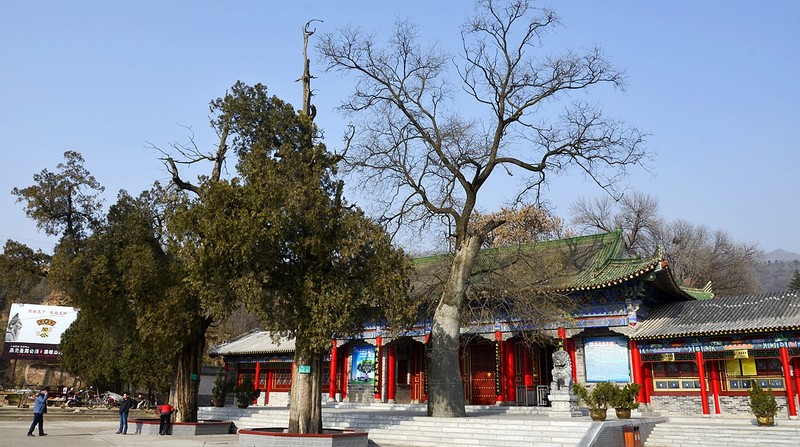 周公庙（22P），敬请指导！ 第2页-中关村在线摄影论坛