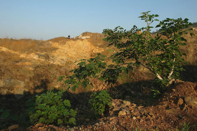 EX1-【无题】123...12p 第3页-中关村在线摄影论坛