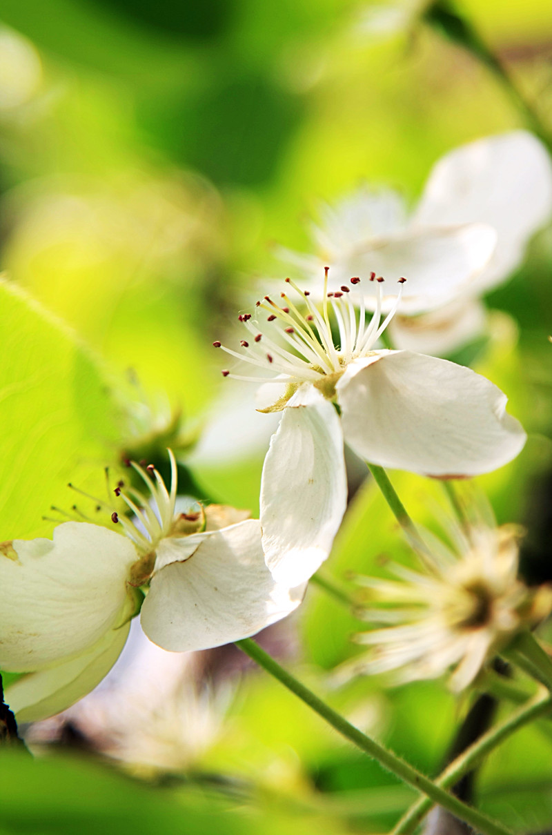 五一随拍-中关村在线摄影论坛